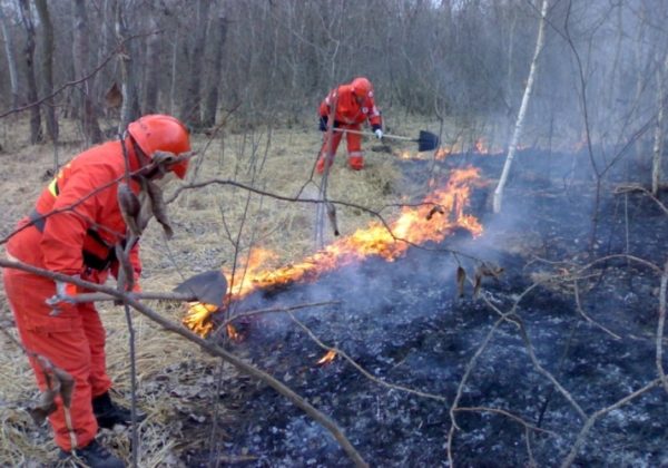 Incendio spento alla diga di Asei tra Curino e Sostegno